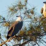 Sunset River Cruise in Kalbarri - Final Thoughts