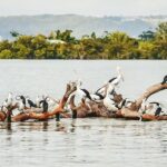 Sunset River Cruise near Byron Bay - Who Will Love This Tour?