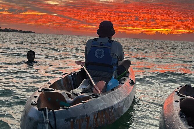 Sunset toast and bioluminescence in clear kayak - The Genuine Value of the Tour