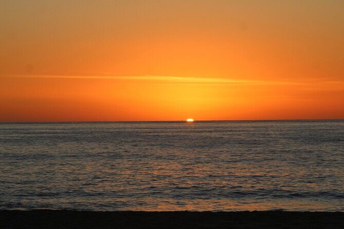 Sunset Whale Cruise in Cabo San Lucas - What the Reviews Tell Us
