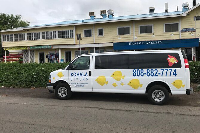 Sunset Whale Watching Shared Activity - Pricing and Value