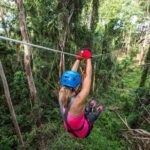 Sunshine Coast Adventure Park TreeTop Challenge - What to Expect During Your Visit