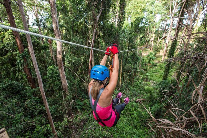 Sunshine Coast Adventure Park TreeTop Challenge - What to Expect During Your Visit