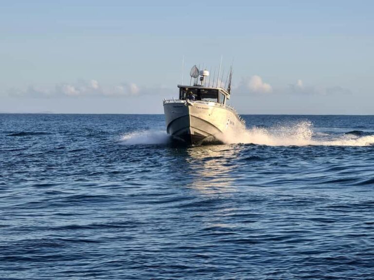Sunshine Coast: Fishing Charters - Who Will Love This Tour?