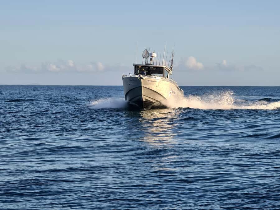 Sunshine Coast: Fishing Charters - Who Will Love This Tour?