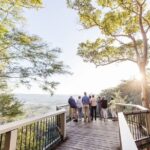 Sunshine Coast Hinterland Scenic Culinary Experience: Montville - Authentic Experiences and Guest Highlights