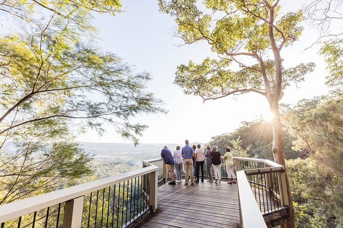 Sunshine Coast Hinterland Scenic Culinary Experience: Montville - Authentic Experiences and Guest Highlights