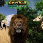 Sunshine Coast: Hologram Zoo Africa Adventure - Why This Tour Appeals and Who It’s Best For