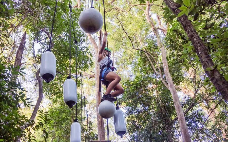 Sunshine Coast: Treetop Challenge Adventure Park - Who Will Love This Experience?
