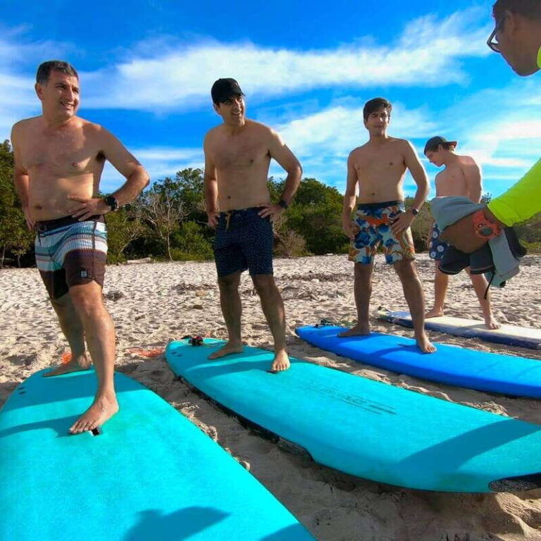 Surfing on the north of the bay - The Guide and Experience Quality