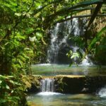 Suva: Fijian Nature and Waterfall Tour - Final Thoughts