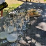 Swan Valley: Full-Day Wine Tour with Lunch - The Itinerary: What to Expect at Each Stop