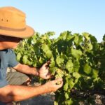 Swan Valley Wine Discovery: Private Tour from Perth - Final Thoughts