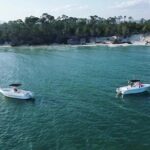 Swim with Dolphins And Snorkeling Group Tour - The Value of the Tour