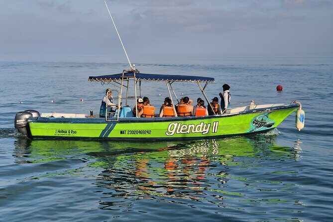 Swim with the Whale Shark on Holbox Island - Exploring the Details: What You Can Expect