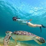 Swim with Turtles in Akumal, Cenote and Visit the Archaeological Zone - Who Would Love This Tour?