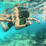 Swim with Turtles in Akumal + GoPro Photo Session - The Marine Environment: Wildlife & Conservation Focus