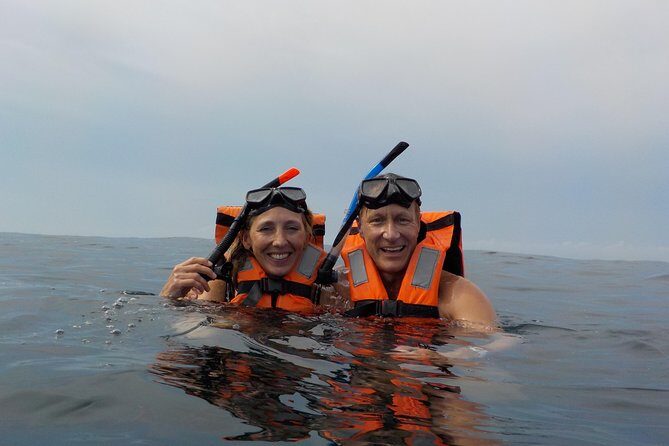 Swim with whale sharks on a private tour - Practical Tips Before Booking