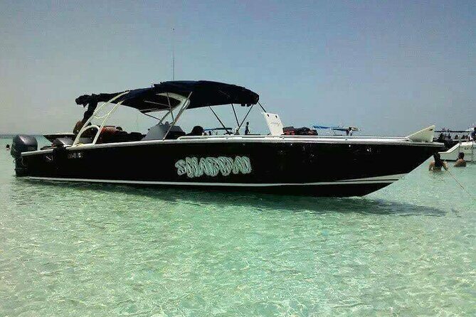 Swim with Whale Sharks Private tour from Playa del Carmen - Price and Value Analysis