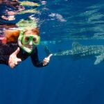 Swimming with the Whale Sharks - Ningaloo Reef (Exmouth) - The Verdict: Is It Worth It?