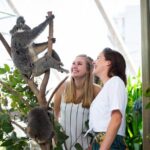 Sydney Attractions Pass: SEA LIFE Aquarium, Sydney Tower Eye, WILD LIFE Zoo and Madame Tussauds - Practical Tips for Maximize Your Experience
