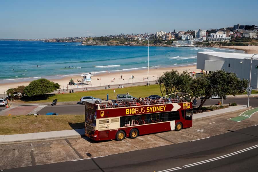 Sydney: Big Bus Hop-On Hop-Off Tour with Optional Cruise - Highlights of the Tour