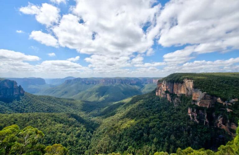 Sydney: Blue Mountains and Scenic World private day tour - Value and Practicality of the Tour