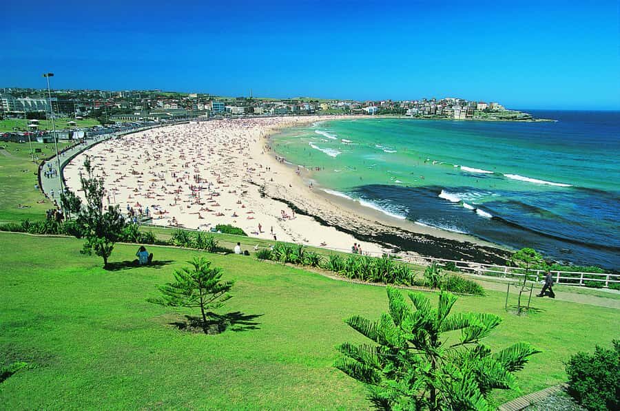 Sydney: Bondi Beach, La Perouse, & City Highlights Tour - What to Expect and Practical Tips