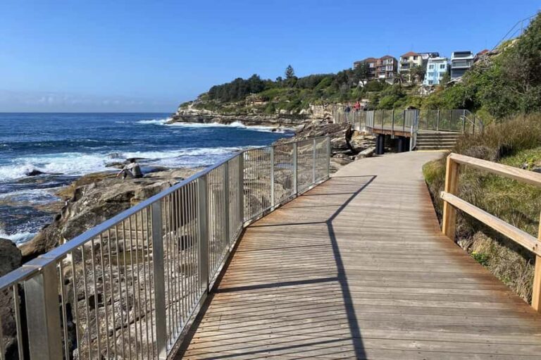Sydney: Bondi to Coogee Hike with Ala Carte Lunch - Highlights of the Itinerary