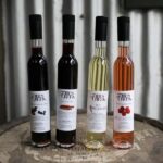 Sydney: Central Coast Day Trip with Wildlife Sanctuary - Introduction: The Balance of Nature and Nibbles