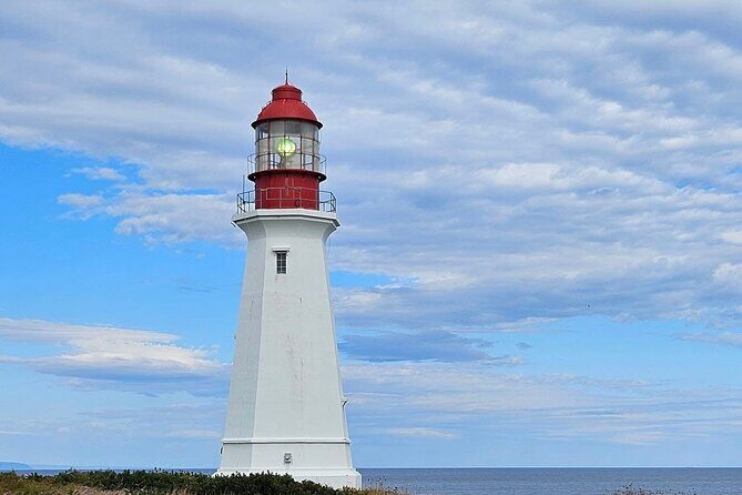 Sydney City & Coastline Tour - The Experience: Comfort, Convenience, and Authenticity