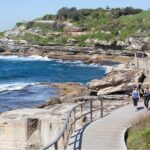 Sydney City Highlights & Hidden Gems: Private or Small Group Tour - Why This Tour Offers Great Value