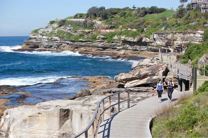 Sydney City Highlights & Hidden Gems: Private or Small Group Tour - Why This Tour Offers Great Value