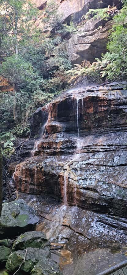 Sydney: English or German Private Blue Mountains Tour - The Appeal of a Private Blue Mountains Tour