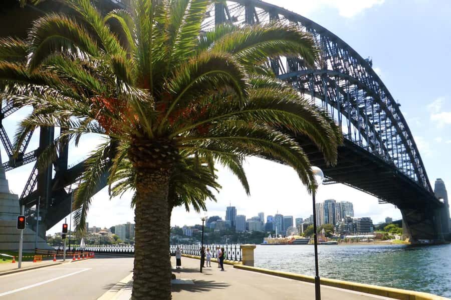 Sydney: Half-Day City Tour - The Itinerary: What You Can Expect