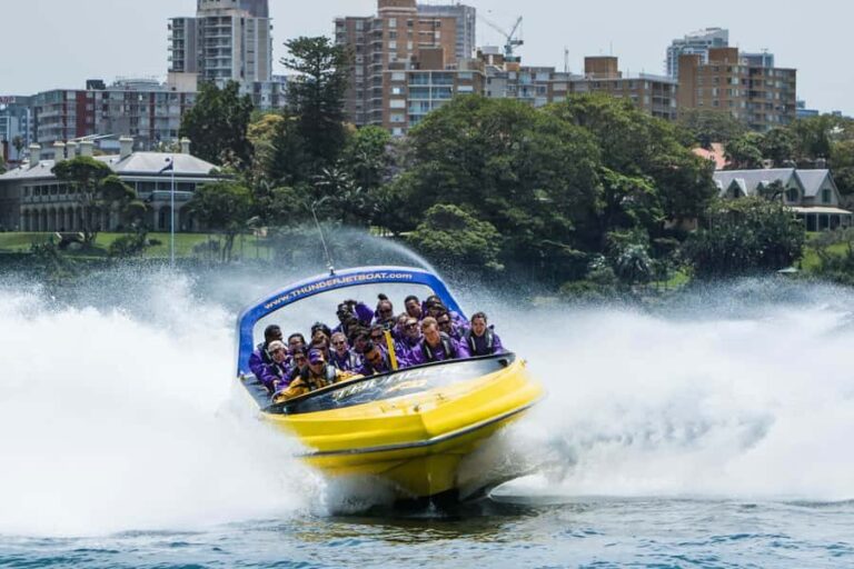 Sydney Harbour: 45-Minute Extreme Adrenaline Rush Ride - What the Itinerary Looks Like