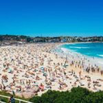 Sydney Harbour & Bondi: Morning Highlights with Breakfast - The Value of this Experience