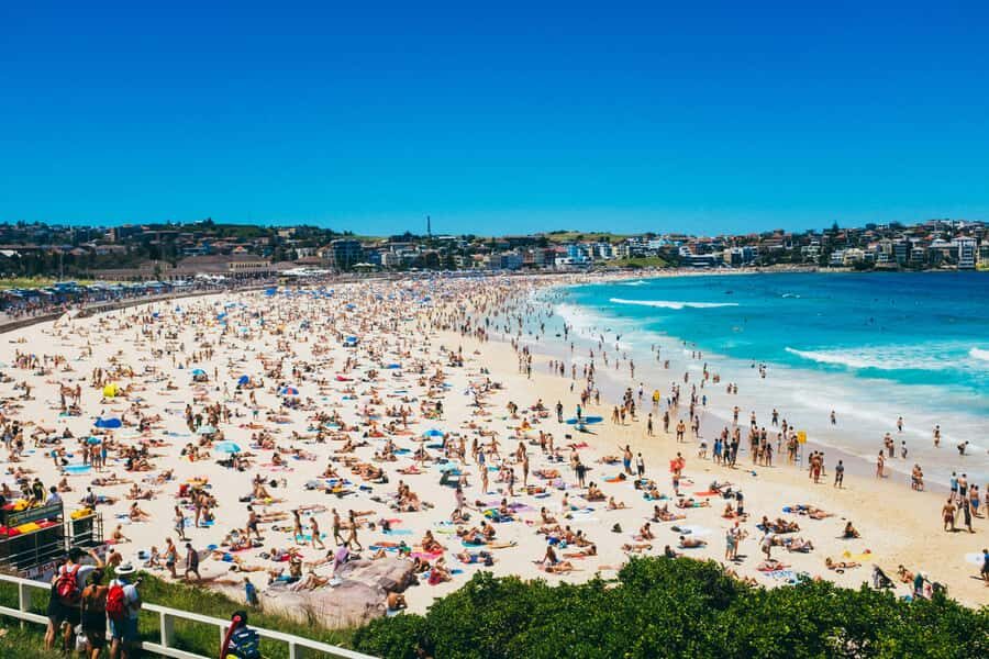Sydney Harbour & Bondi: Morning Highlights with Breakfast - The Value of this Experience
