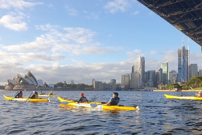 Sydney Harbour Bridge Kayak & Breakfast Tour - Practical Details and Tips