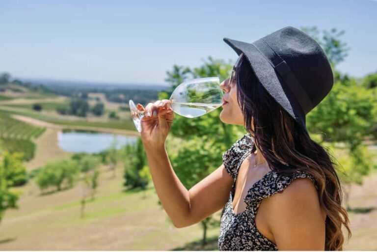 Sydney: Hunter Valley Wineries Day Trip with Food Tastings - The Itinerary Breakdown