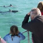 Sydney: Jervis Bay Day Trip with Dolphins, Roos & Beach Time - The Logistics and Experience Quality