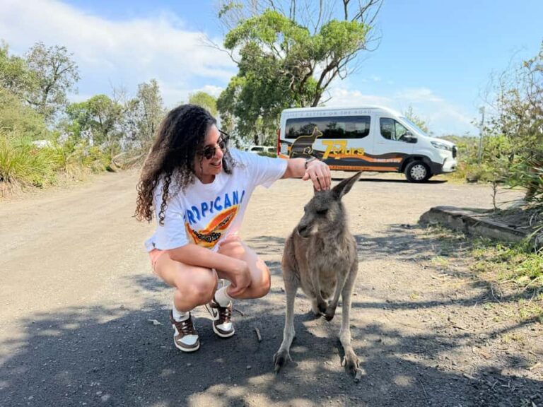 Sydney: Jervis Bay & South Coast Small Group Wild Kangaroos - A Deep Dive into the Tour Experience