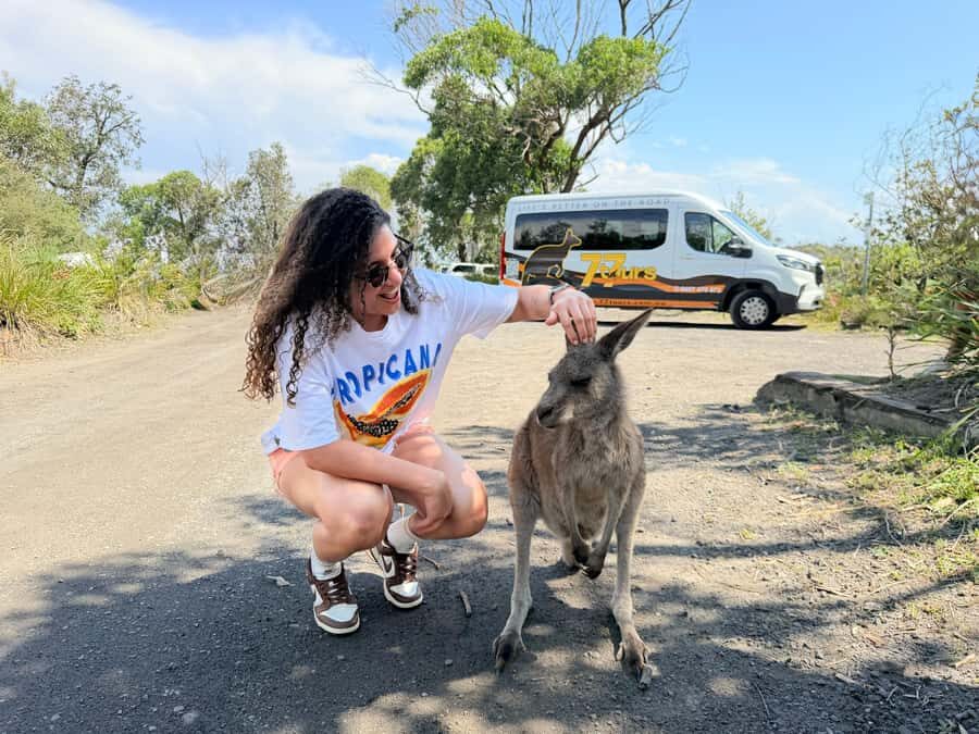 Sydney: Jervis Bay & South Coast Small Group Wild Kangaroos - A Deep Dive into the Tour Experience