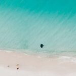 Sydney: Jervis Bay Tour with Beaches, Koalas & Kangaroos - The Wildlife Encounters: Authentic and Carefully Managed