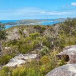 Sydney: Ku-ring-gai Chase National Park with Hike, Swim, Picnic - Who Would Love This Experience?