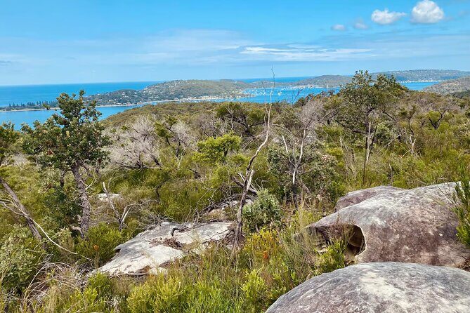 Sydney: Ku-ring-gai Chase National Park with Hike, Swim, Picnic - Who Would Love This Experience?