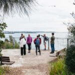 Sydney: Manly and Shelly Beach Snorkeling Tour - Why This Tour Stands Out
