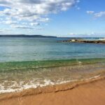 Sydney: Northern Beaches and Ku-ring-gai National Park Tour - Exploring Sydney’s Coastal Gems: Beaches and Lookouts