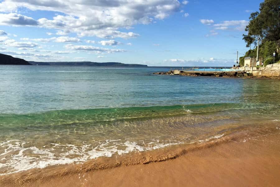Sydney: Northern Beaches and Ku-ring-gai National Park Tour - Exploring Sydney’s Coastal Gems: Beaches and Lookouts