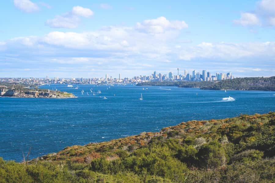 Sydney: Private Half or Full-Day Sightseeing Tour - Who Will Love This Tour?
